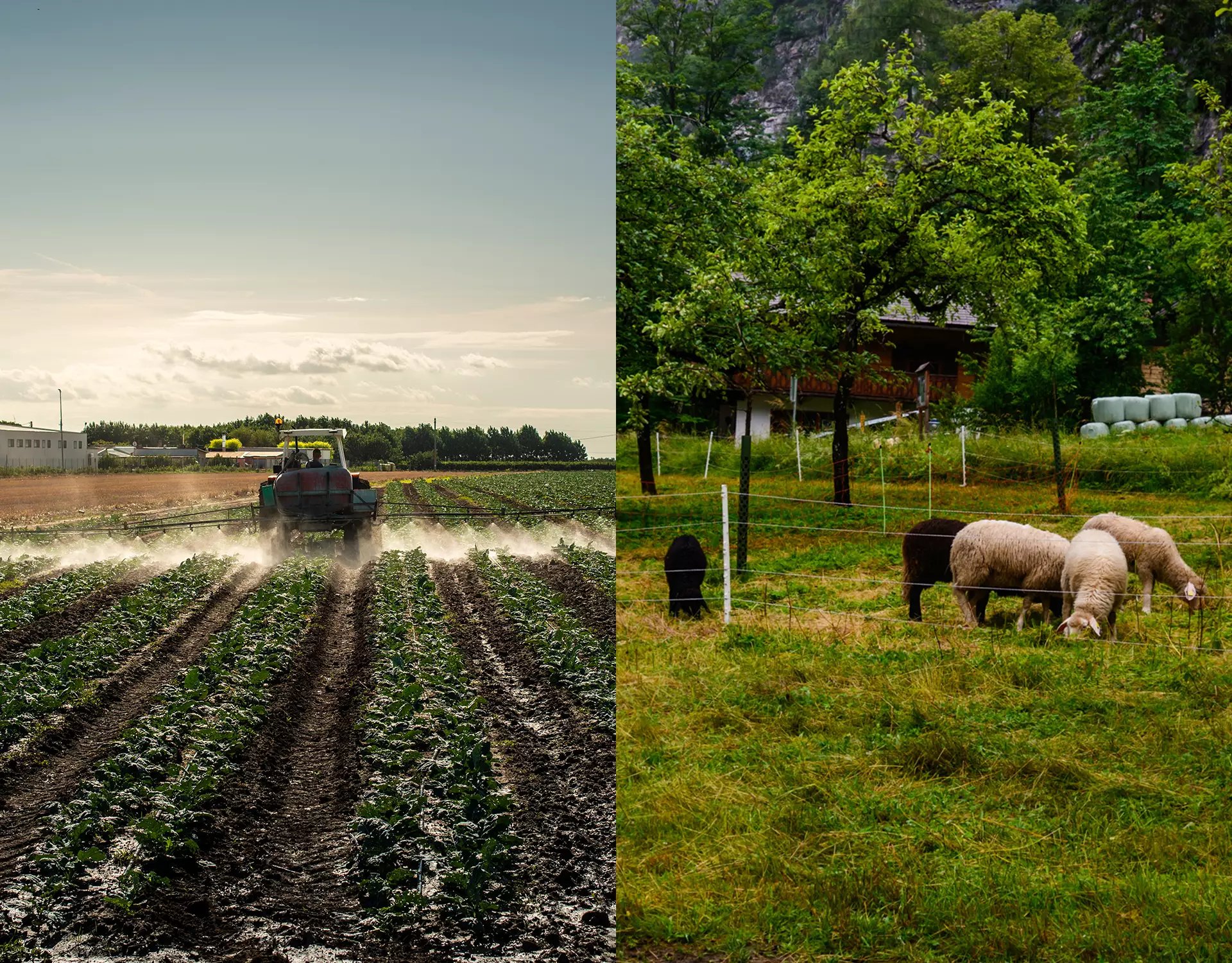 BeCrop Rate | Biome Makers